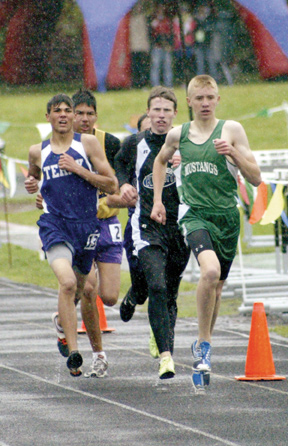 Mustangs running wild