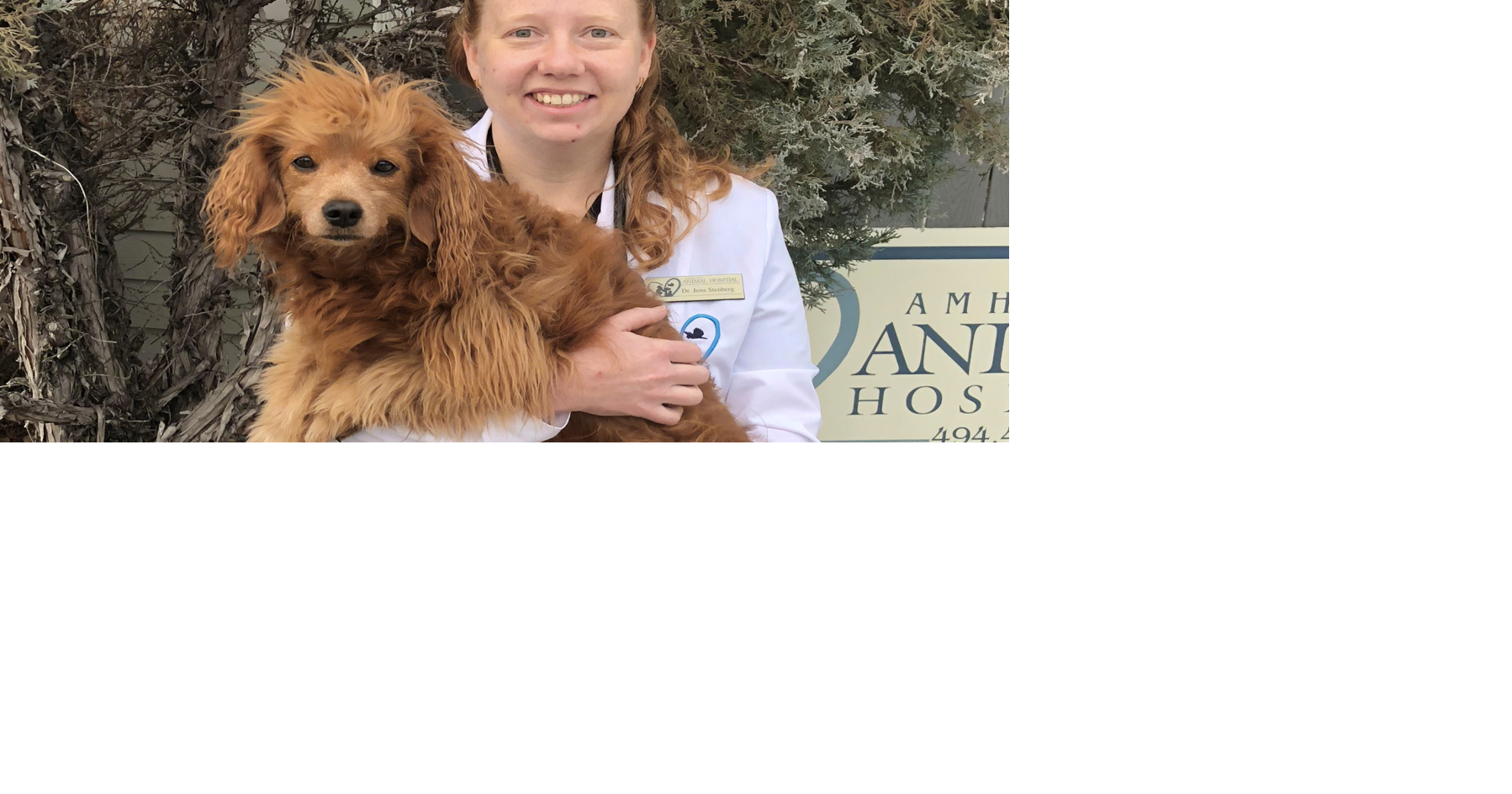 Stenberg joins veterinary staff at Amherst Animal Hospital
