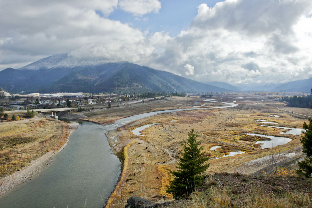 Upper Clark Fork: Restoration brings brown trout | | mtstandard.com