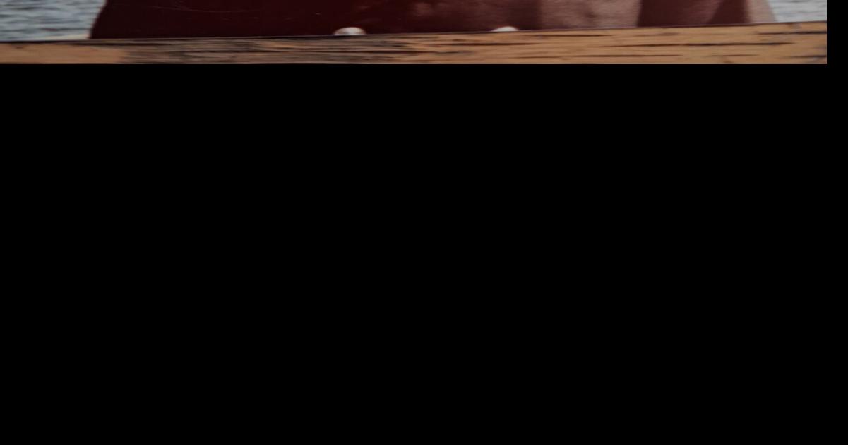 Story of Honor: Denis Bunts shares tales and lessons learned during his ...