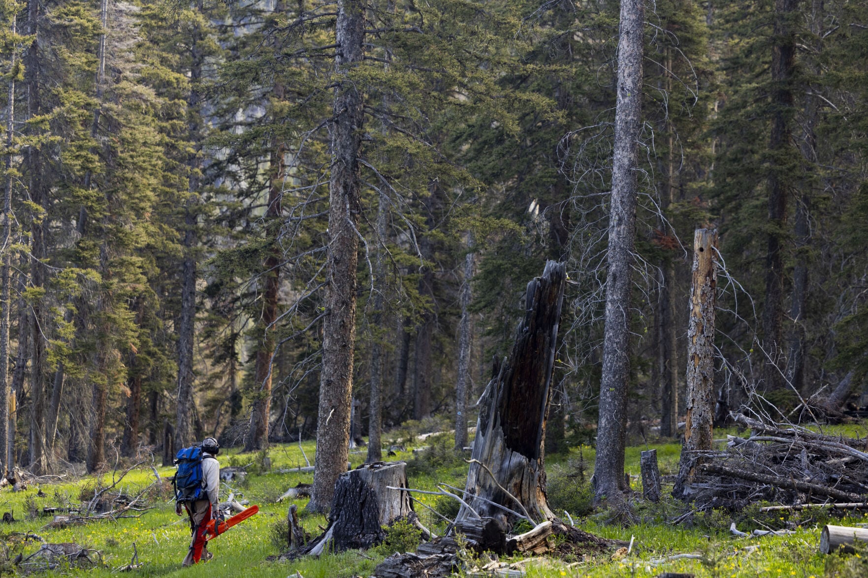 Photos: Volunteers help with CDT trail maintenance at annual event