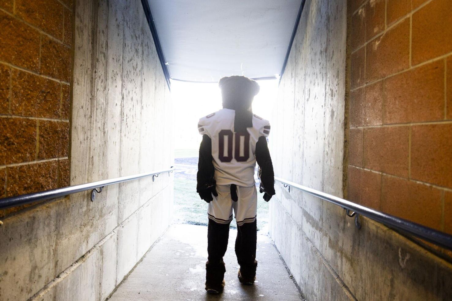 Montana State Bobcats vs Montana Grizzlies FCS playoffs live