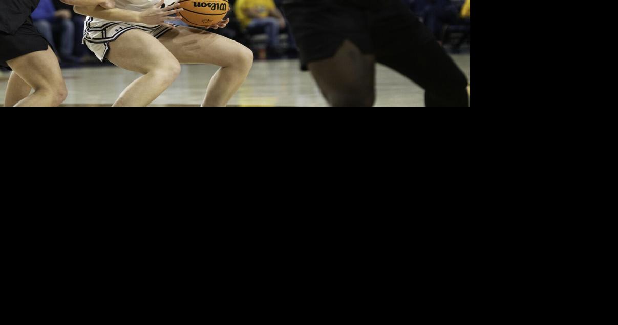 Montana State Bobcat women's bench shines in rout of Idaho