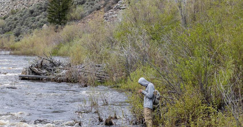 'No magic wand' for ailing rivers in southwest Montana