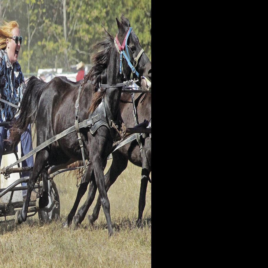 Tortoise and the Hare | Local News | murrayledger.com