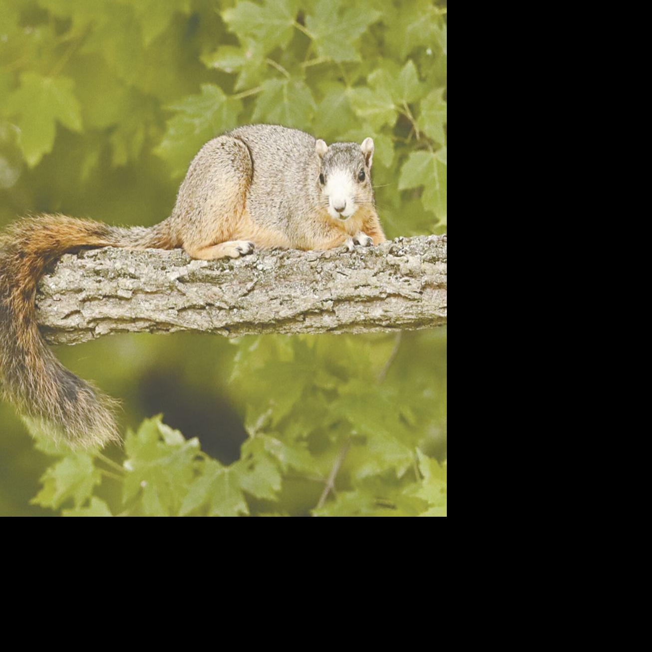 Chamber offers signage as part of ‘Back to Business Toolkit ...