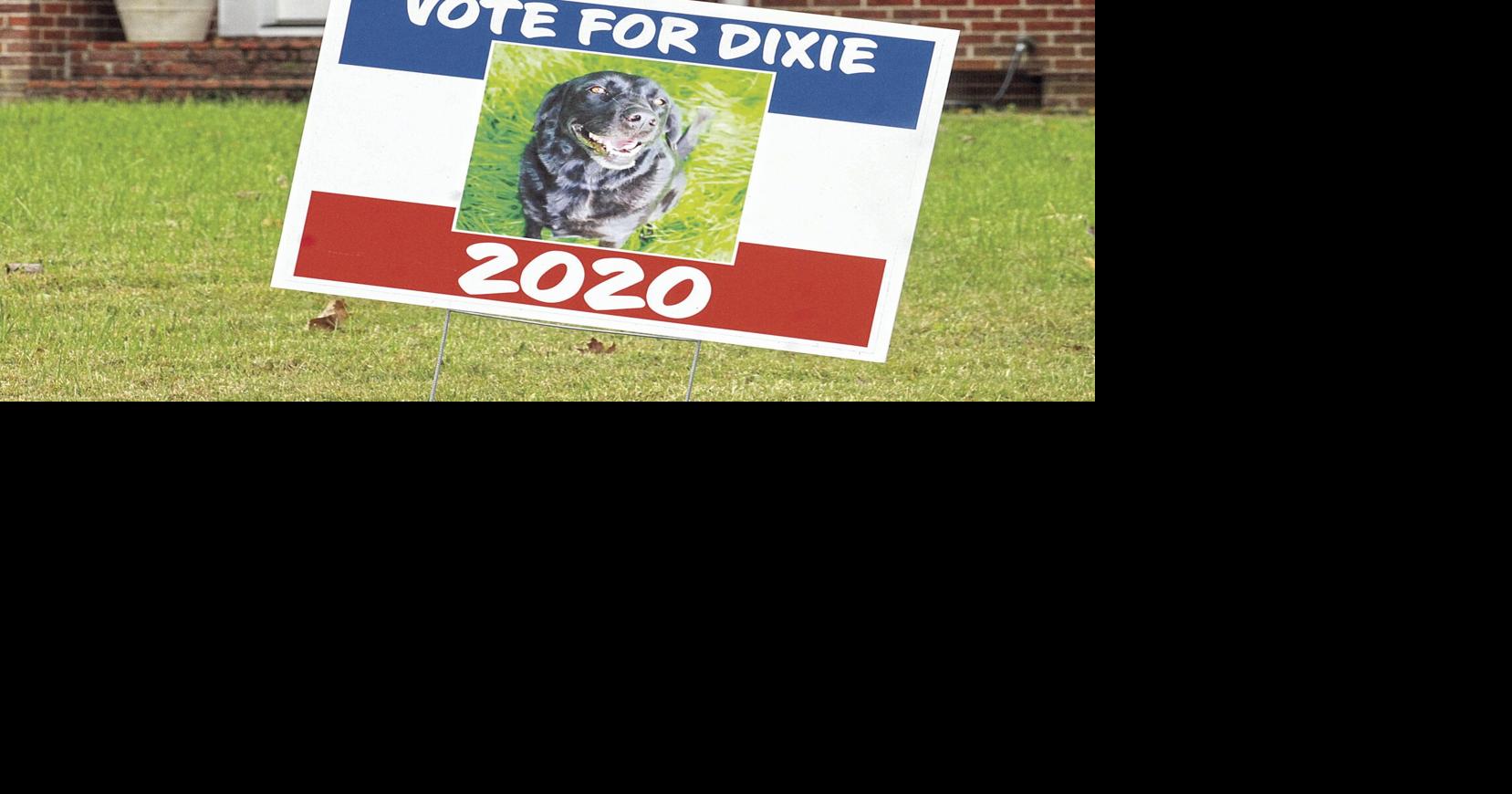 Election Day fun | Local News | murrayledger.com