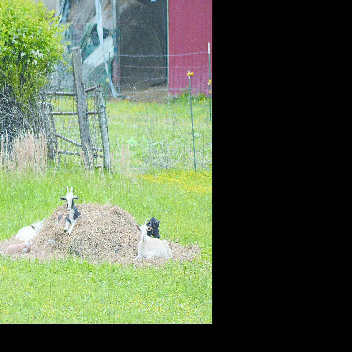 Power outages, fire reported in storm | News | murrayledger.com