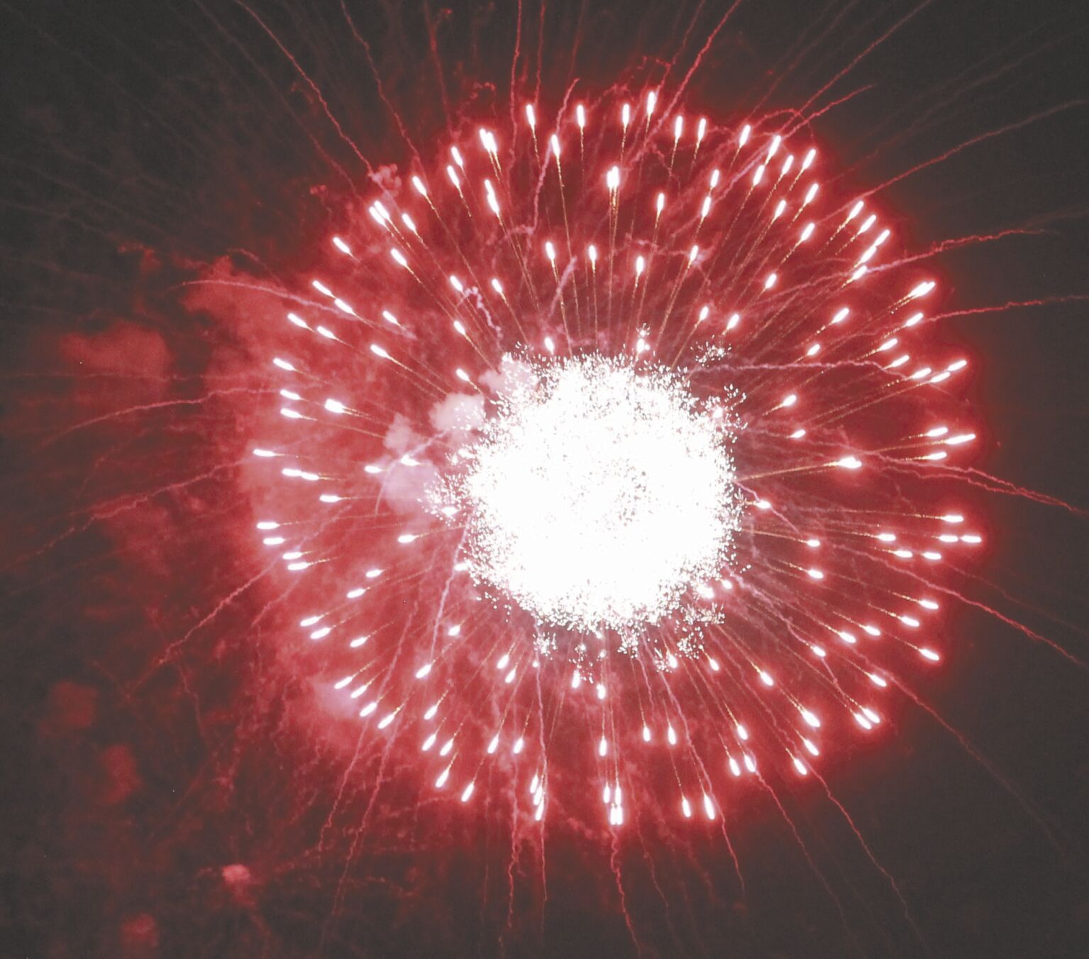 Celebrating our freedoms | News | murrayledger.com