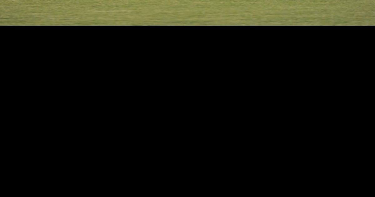 Great Scott! Calloway pushes McCracken County to the brink | Sports ...