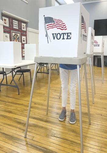 Early voting lasts through Saturday. | News | murrayledger.com