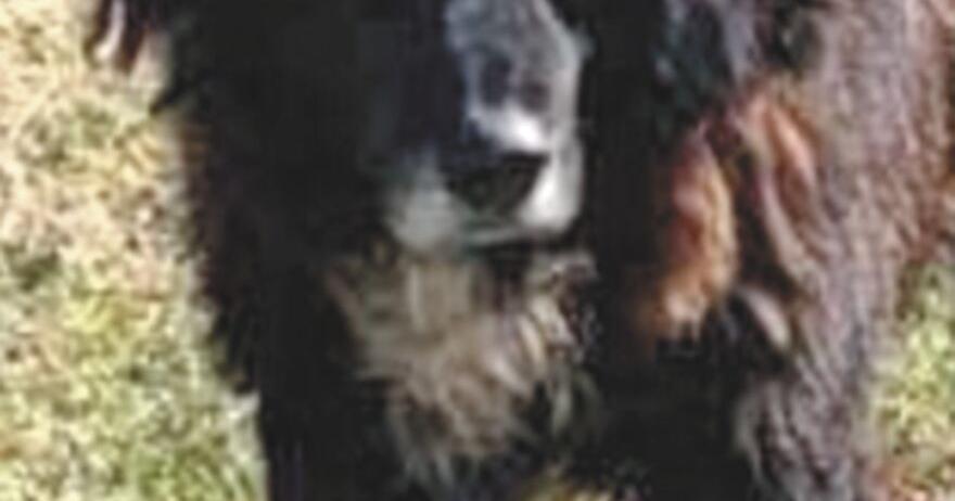 Goodbye to Murray | News | murrayledger.com