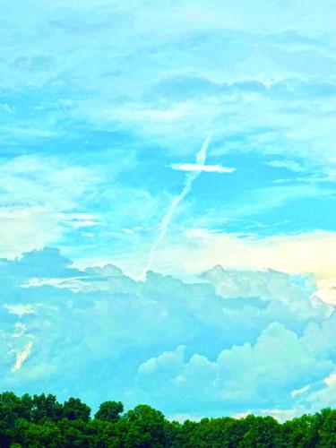 Local News | murrayledger.com