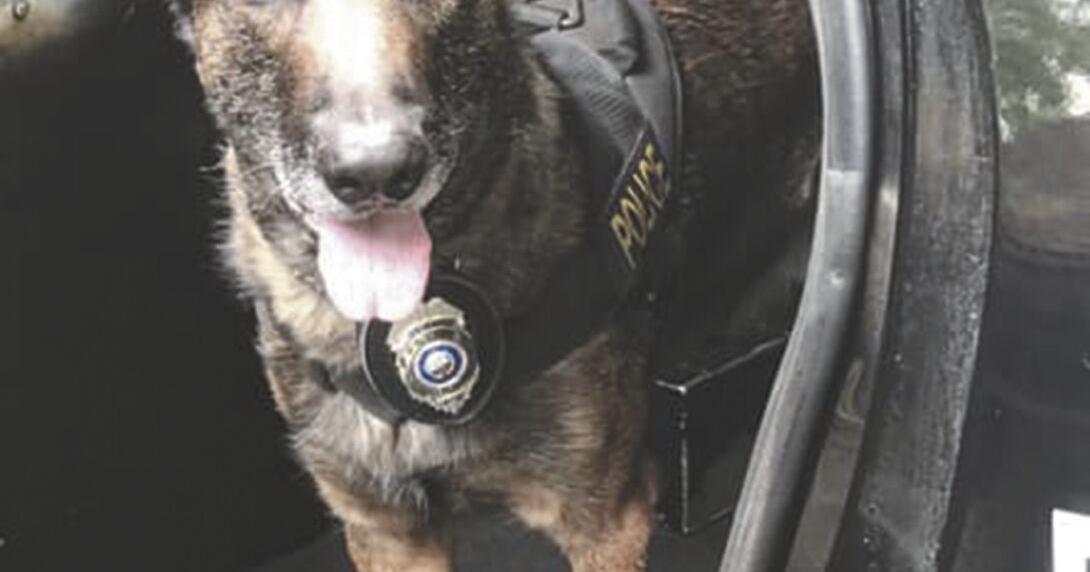 MPD says goodbye to retired K9 Tiko | News | murrayledger.com