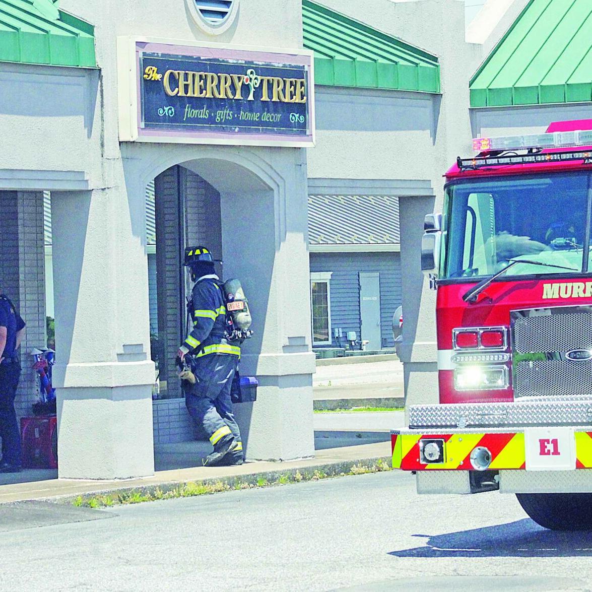 Murray State baseball in 4th NCAA Tournament; Mississippi marauders ...