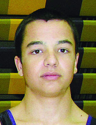 Prep wrestling roundup: Vogel earns trip to state tournament