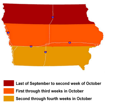 Weekly fall colors report for Iowa