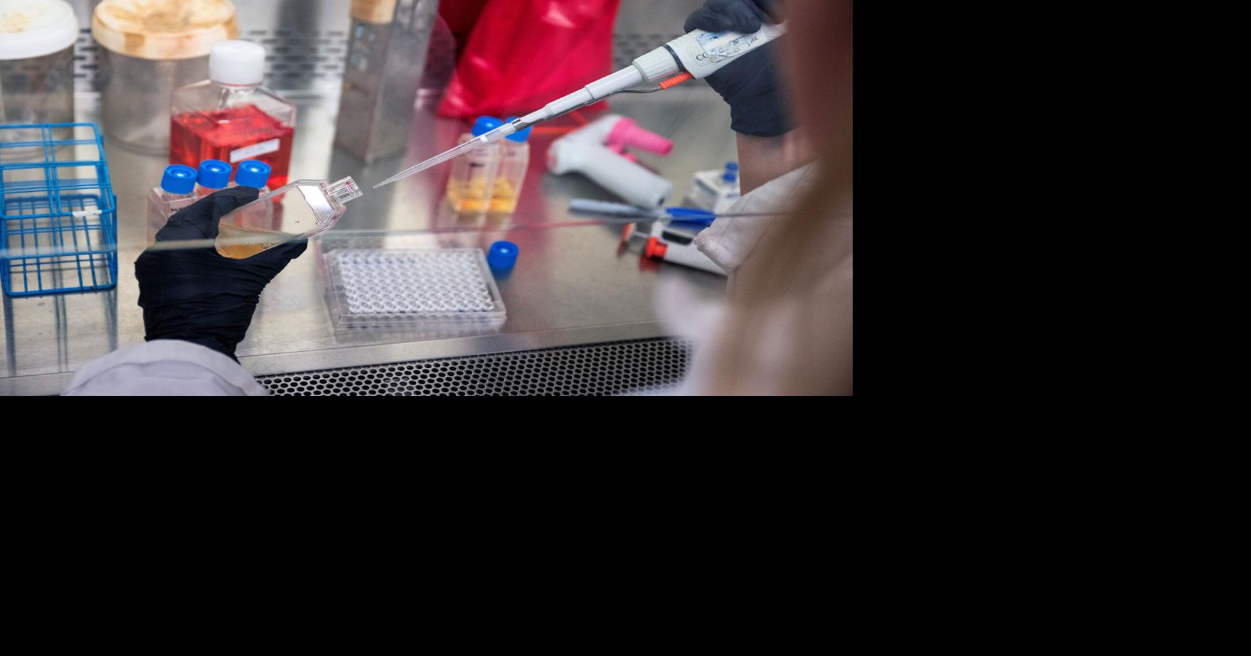 Cancer vaccines based on mRNA advance, despite US cuts