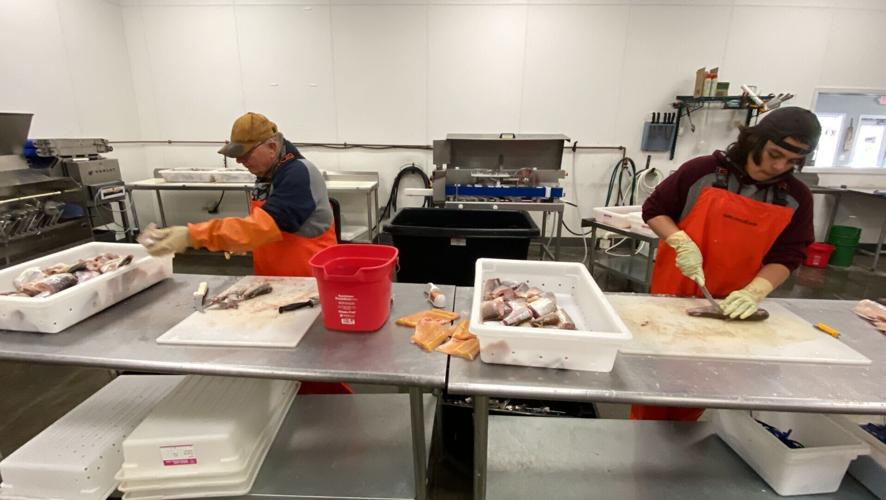 Fish length, not location, to be used for Iowa fish consumption advice