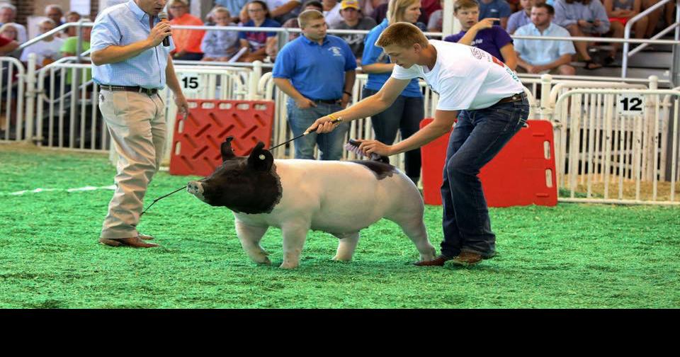 Wapello FFA student's hog brings $54,000 at Iowa State Fair