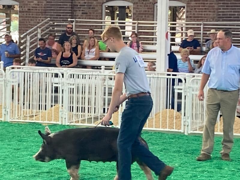 Muscatine FFA students take several blue ribbons at 2023 Iowa State Fair