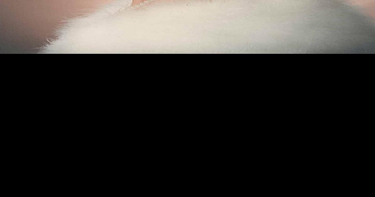 Jessie Louise Westfall