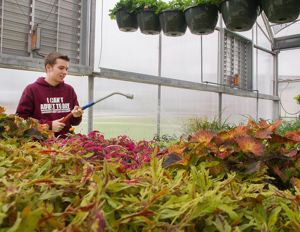 Annual FFA plant sale underway at MHS