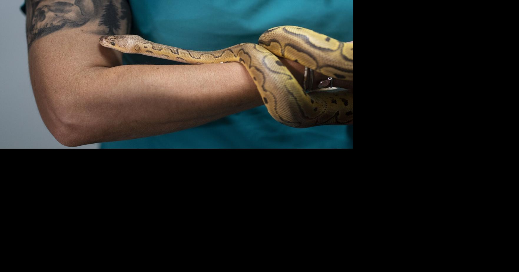 Snake facility in Muscatine draws concerns