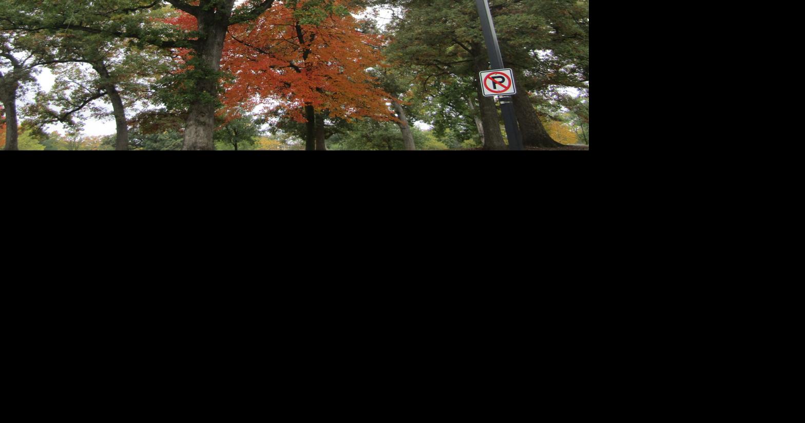 Fall colors in the Muscatine area
