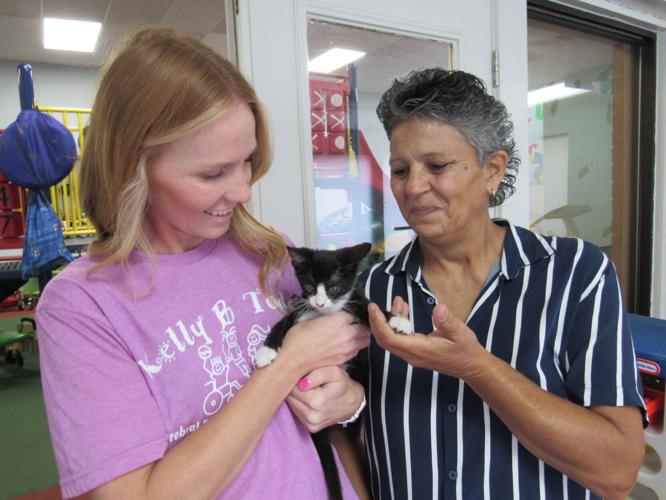 Kelly B. Todd center expands with new director and therapy kitty | News ...