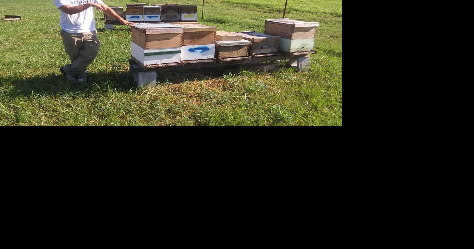 Northeast Oklahoma forestry ranger shares life and love of bees | Don't ...
