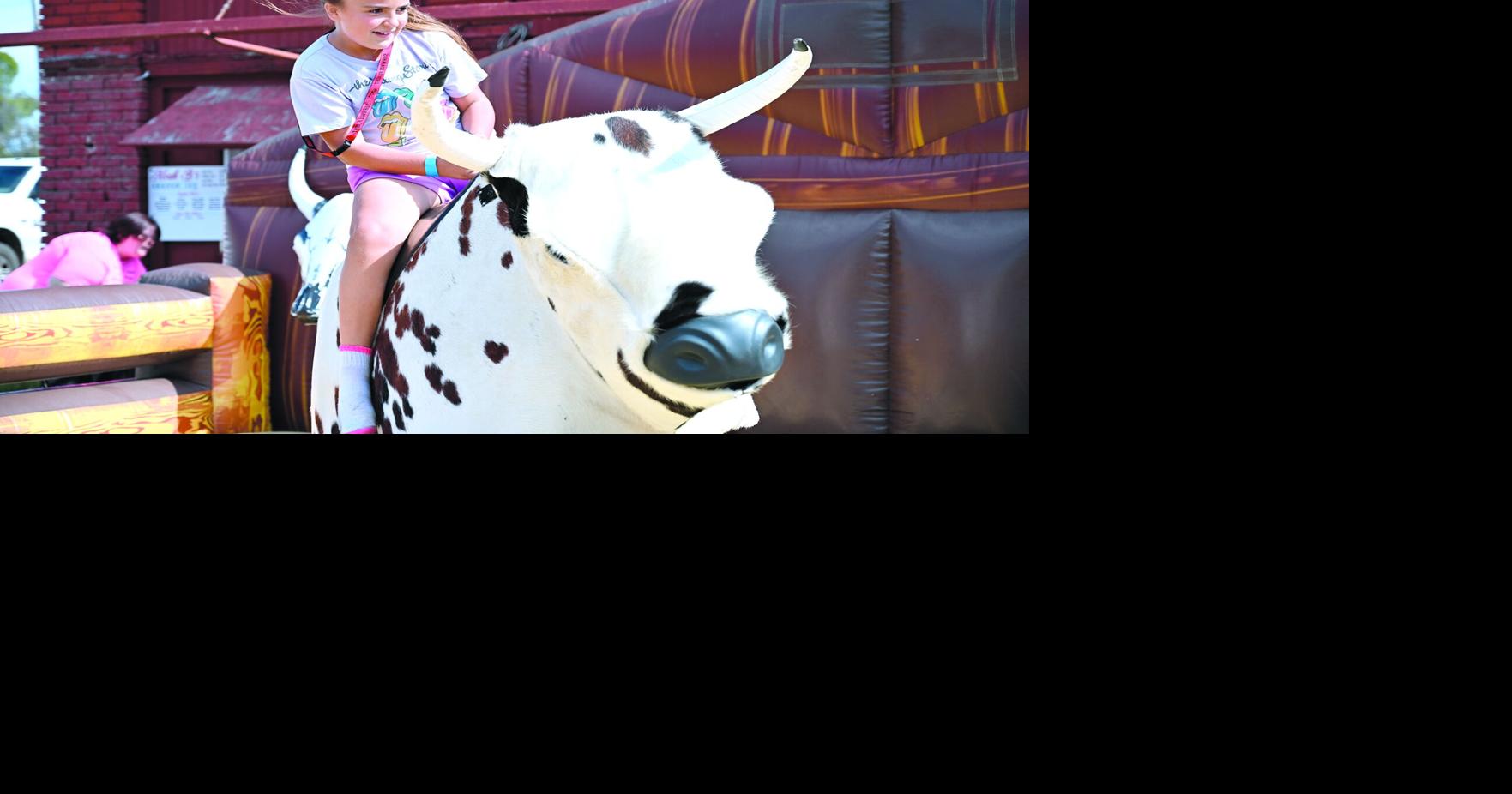 Attendees have fun at Cow Chip Day in Warner | News | muskogeephoenix.com