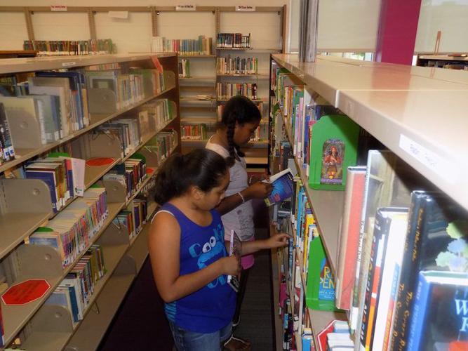 Libraries among entities curtailing services after years of budget cuts ...