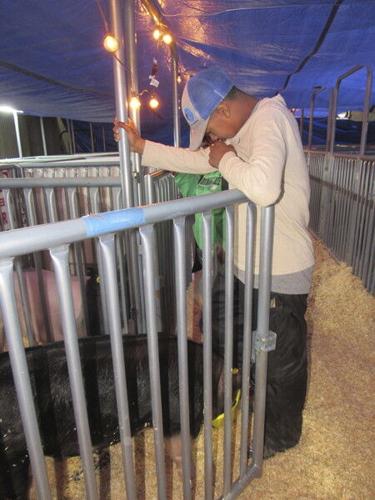 Swine kick off Muskogee Regional Junior Livestock Show | Schools ...