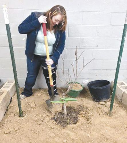 ICTC groundskeeping student is collecting honors | Local News ...