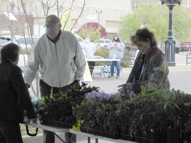 City to celebrate Azalea Festival with parade, food, fun | Lifestyles ...