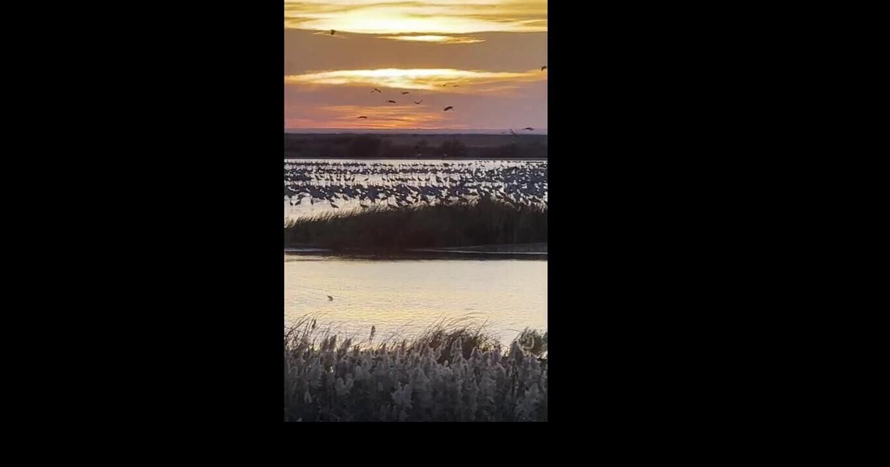 Salt Plains NWR | | muskogeephoenix.com