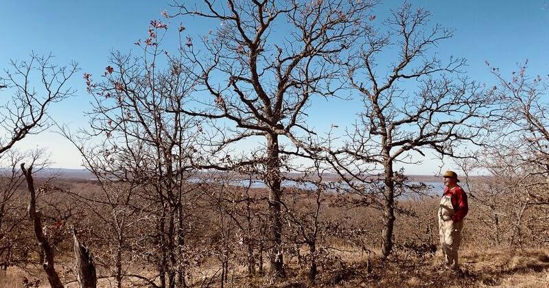 Man 'returns' 1,300 acres to Muscogee Nation | News | muskogeephoenix.com