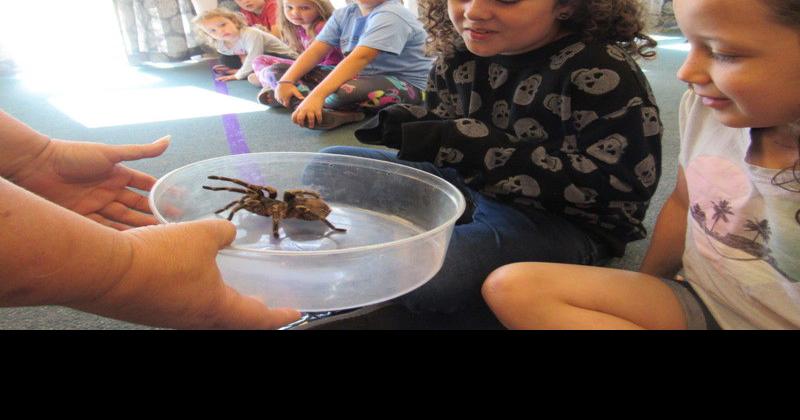 Children learn about animals at library | News | muskogeephoenix.com