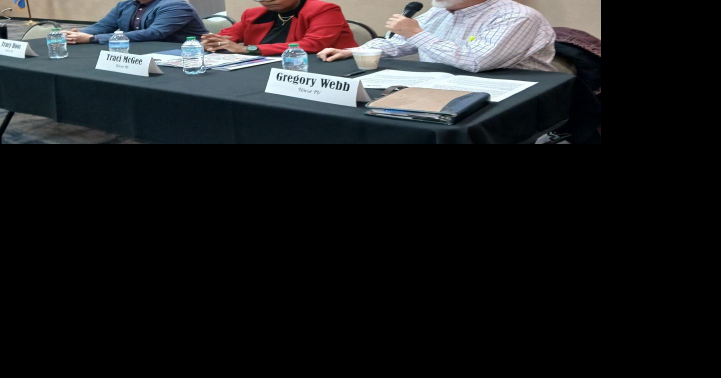 Ward 2, 4 candidates stress long-range planning, infrastructure | News ...