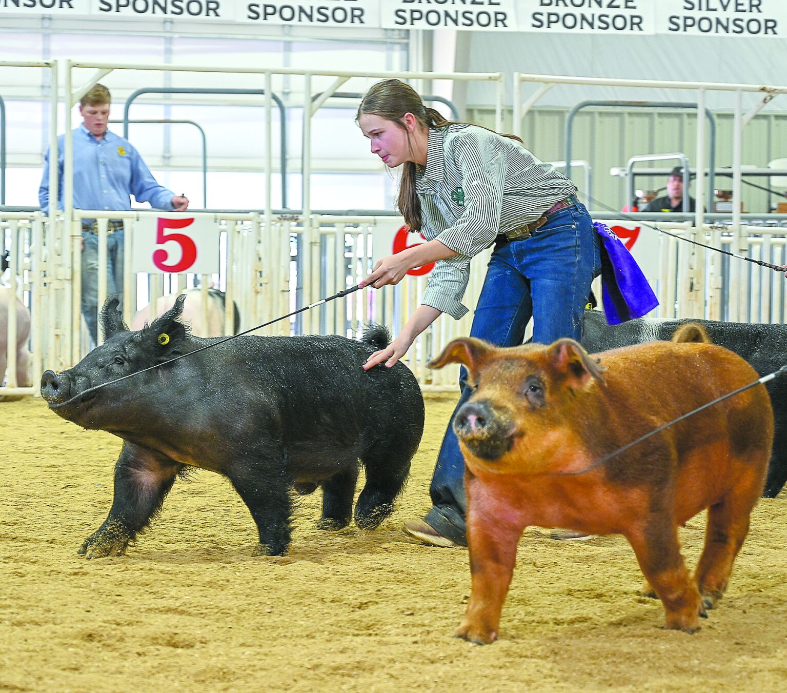 Haskell County teen works hard for champion hog | Community ...