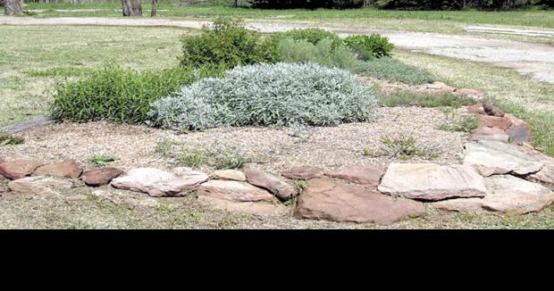 Native Oklahoma plants good landscaping alternative | Lifestyles ...