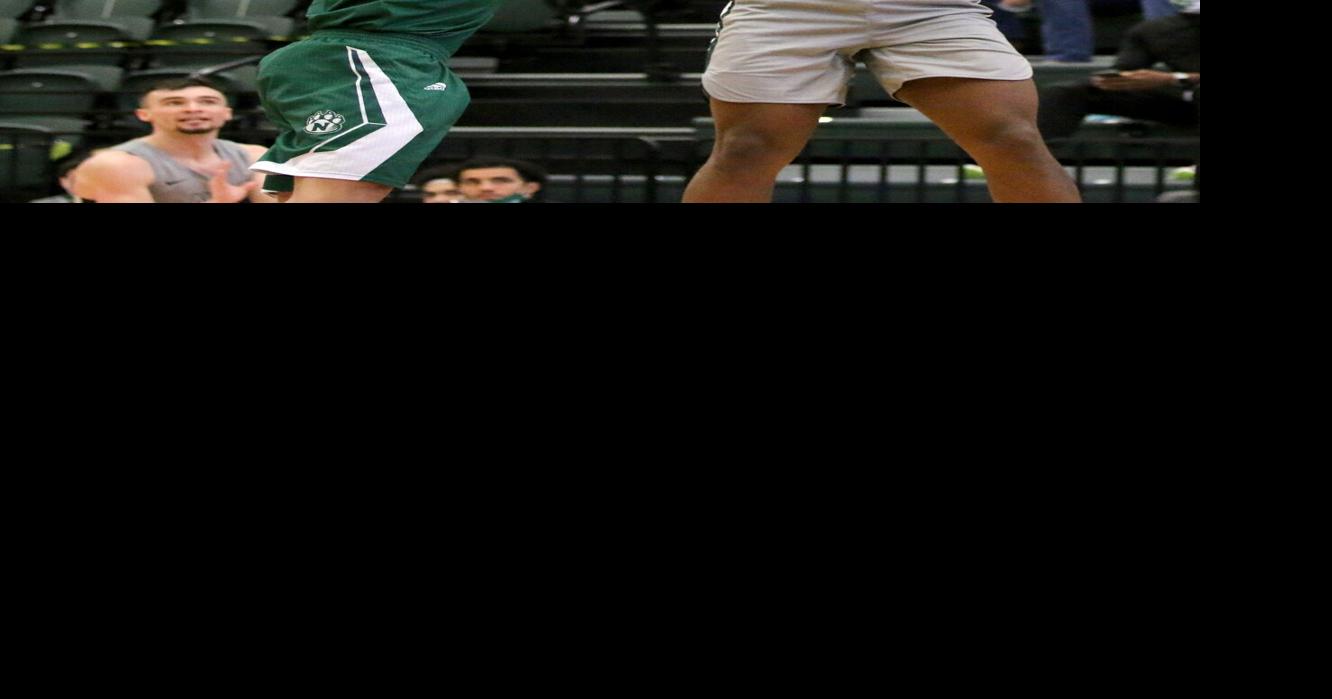 NSU drops final game of 2020 to No. 1 NW Missouri | Sports ...