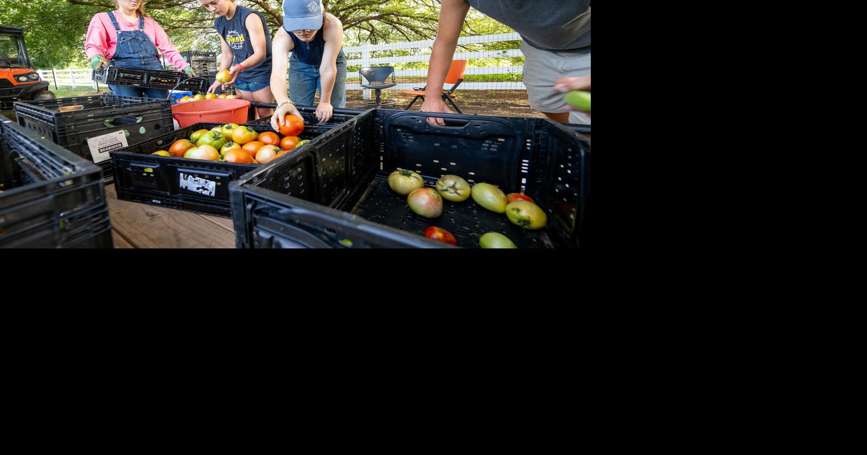 OSU Student Farm helps bridge the gap of food insecurity | News ...