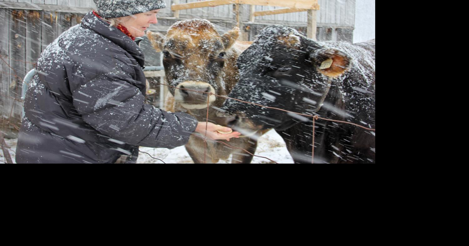 From kicking cows to marketing boards