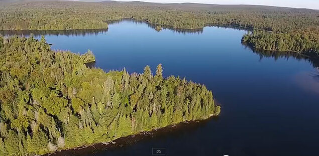 New video showcases beauty and vastness of Algonquin park