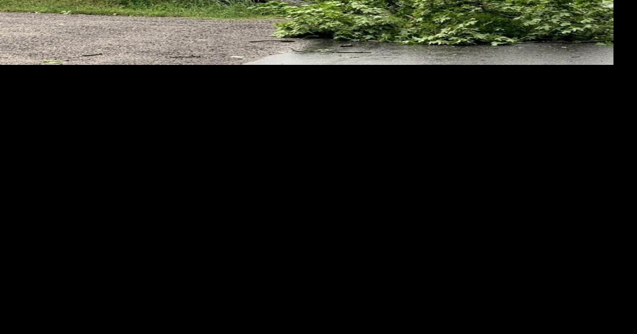 Downed trees, power outages throughout Muskoka following thunderstorm
