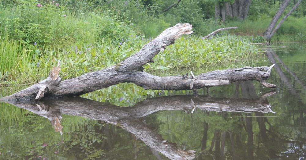 Paddling the Shadow River in Rosseau