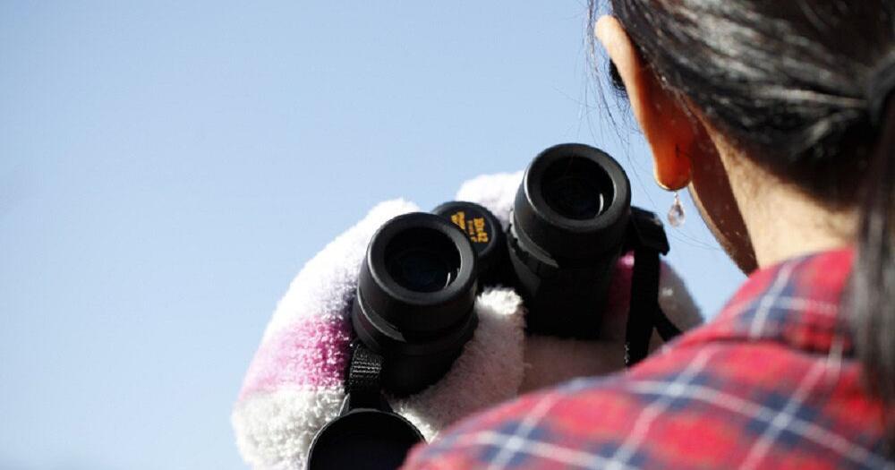 Muskoka Tourism’s new program ‘for the birds’