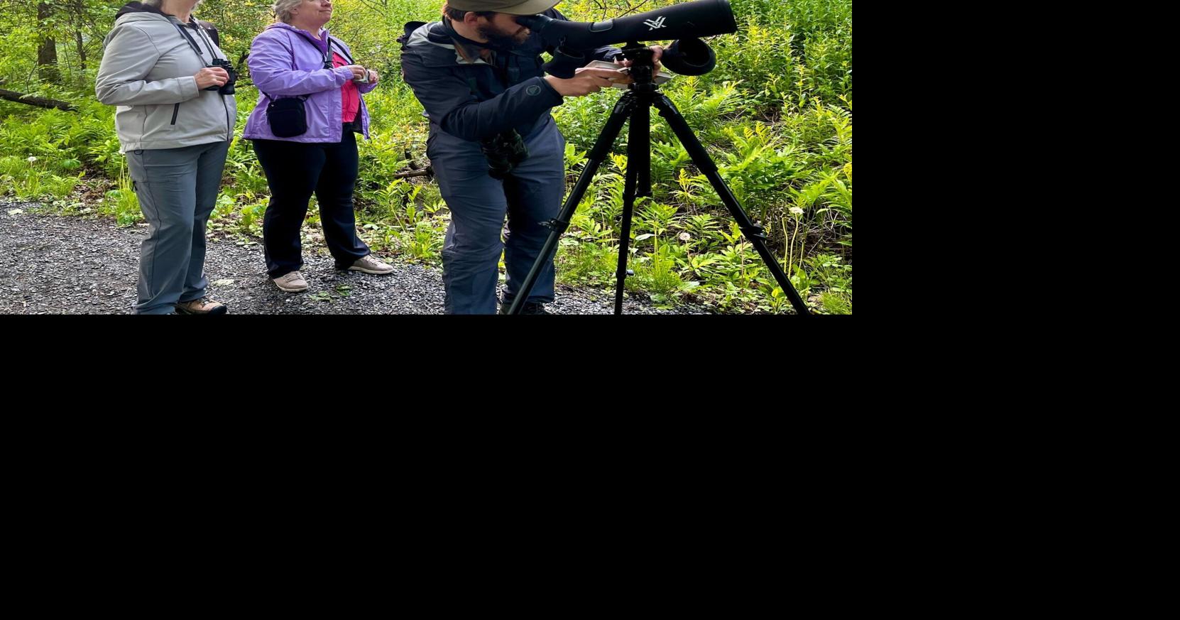 Bird watching in Huntsville with Muskoka’s Dale Wenger